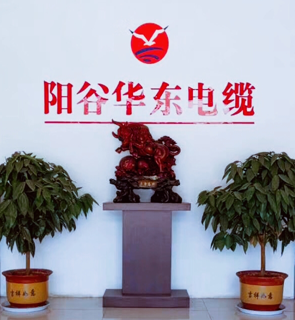 高性能双层共挤 WDZ-GYJSF-电线电缆网